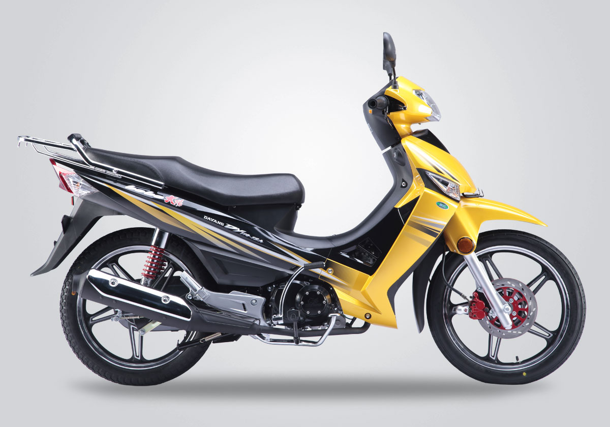 DY110-18A_弯梁车_大阳摩托