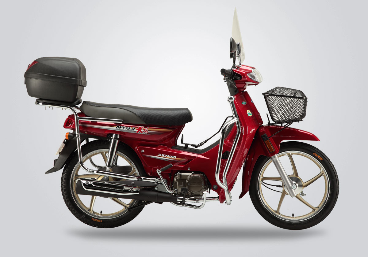 DY110-D_弯梁车大阳摩托